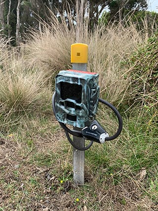 Farm Security Cameras In Australia: The Ultimate 2022 Guide